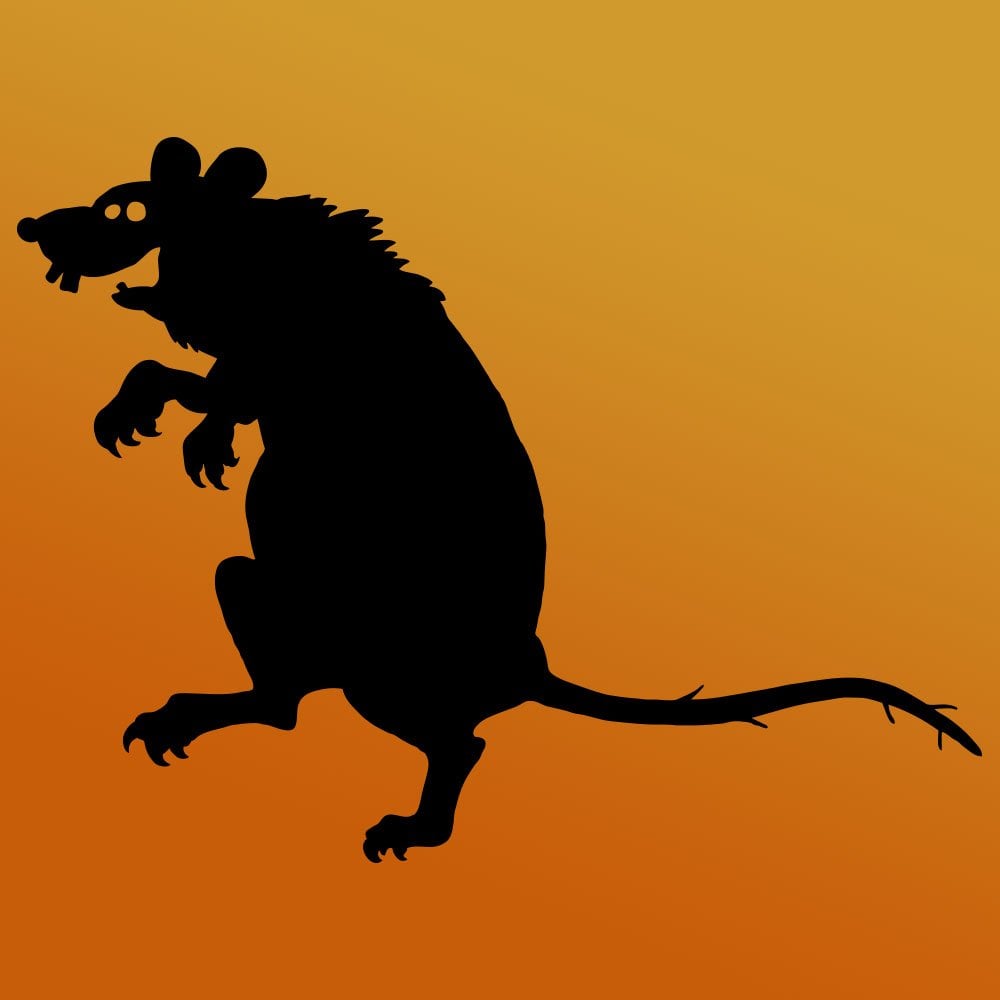 how to draw a halloween rat